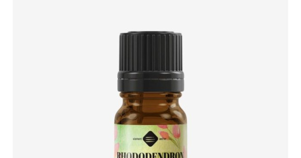 Azalea essential oil